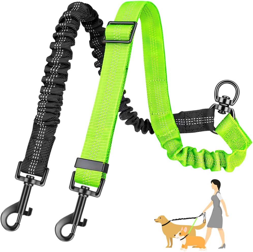 Reflective and Adjustable Elastic Dog Leash – DogPlayBox