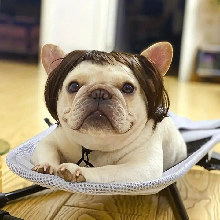 Customizable Trim-to-Fit Pet Wig – DogPlayBox